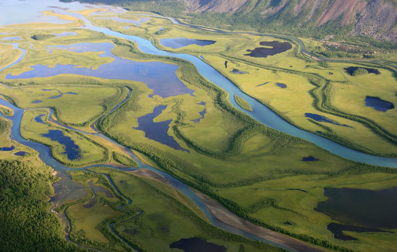 15 Facts About Deltas: Unveiling the Marvels of River Diversification ...