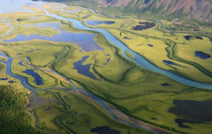 15 Facts About Deltas: Unveiling the Marvels of River Diversification ...