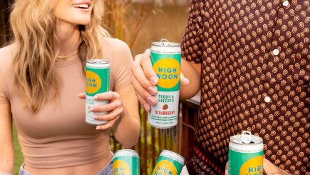 10 High Noon Nutrition Facts: A Perfect Blend of Taste and Quality ...