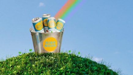 10 High Noon Nutrition Facts: A Perfect Blend of Taste and Quality ...