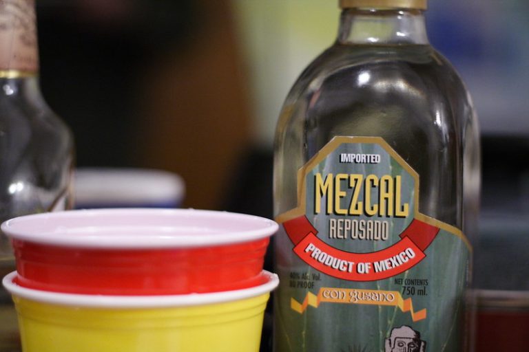12 Mezcal Nutrition Facts You Need to Know - Facts.net