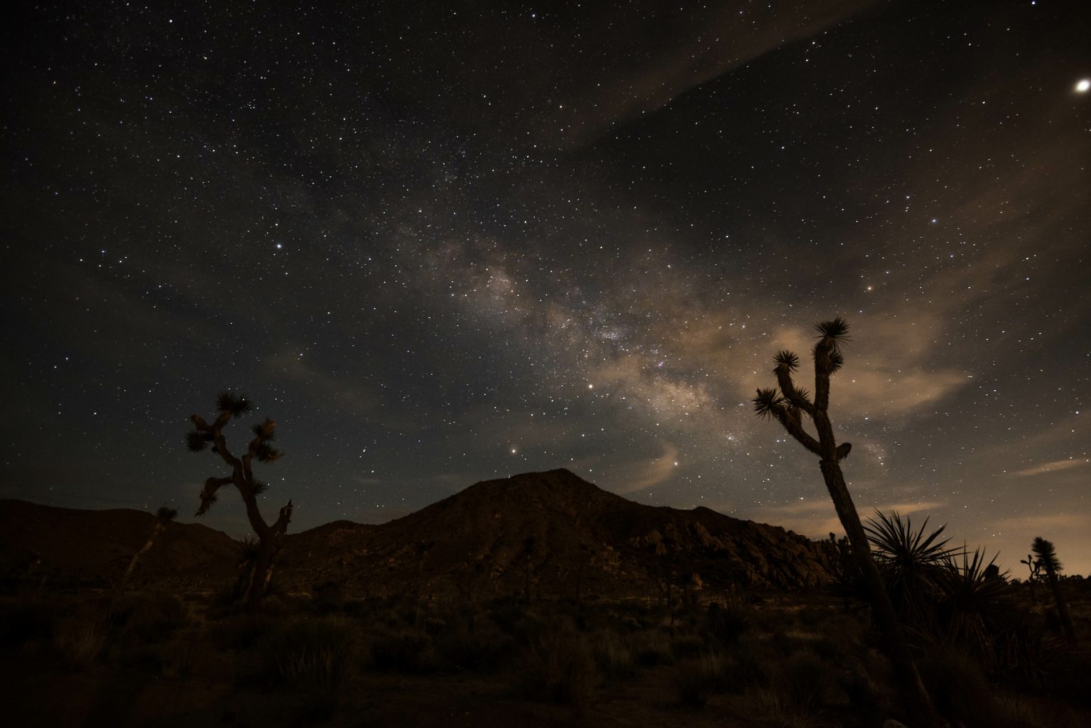 California Desert Region: 15 Fascinating Facts about this Enchanting ...