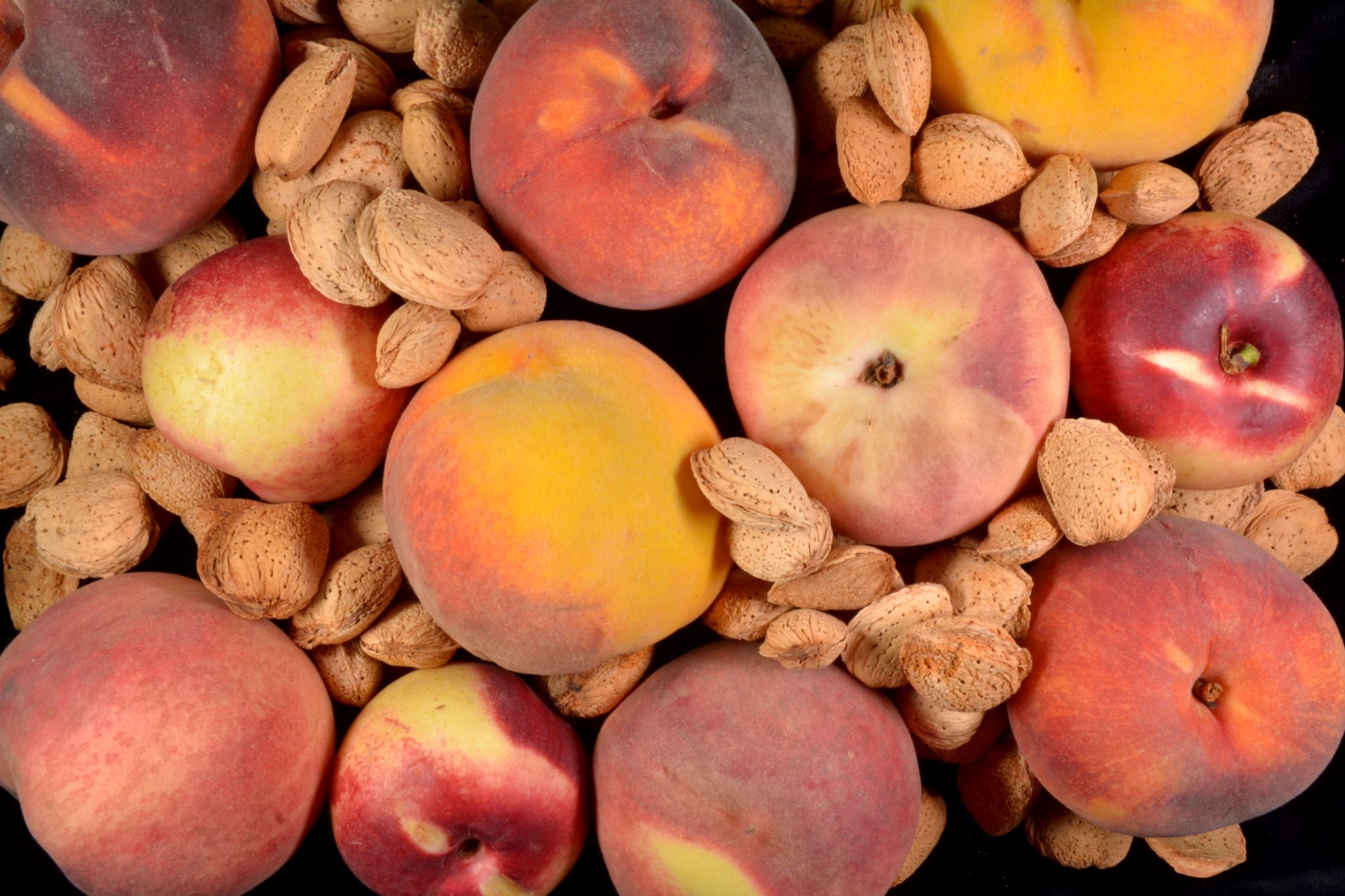 20 Peaches Facts You Probably Didn't Know- Facts.net