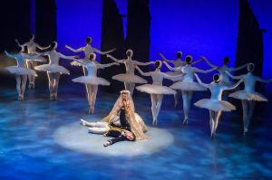 20 Swan Facts of These Majestic Water Birds - Facts.net