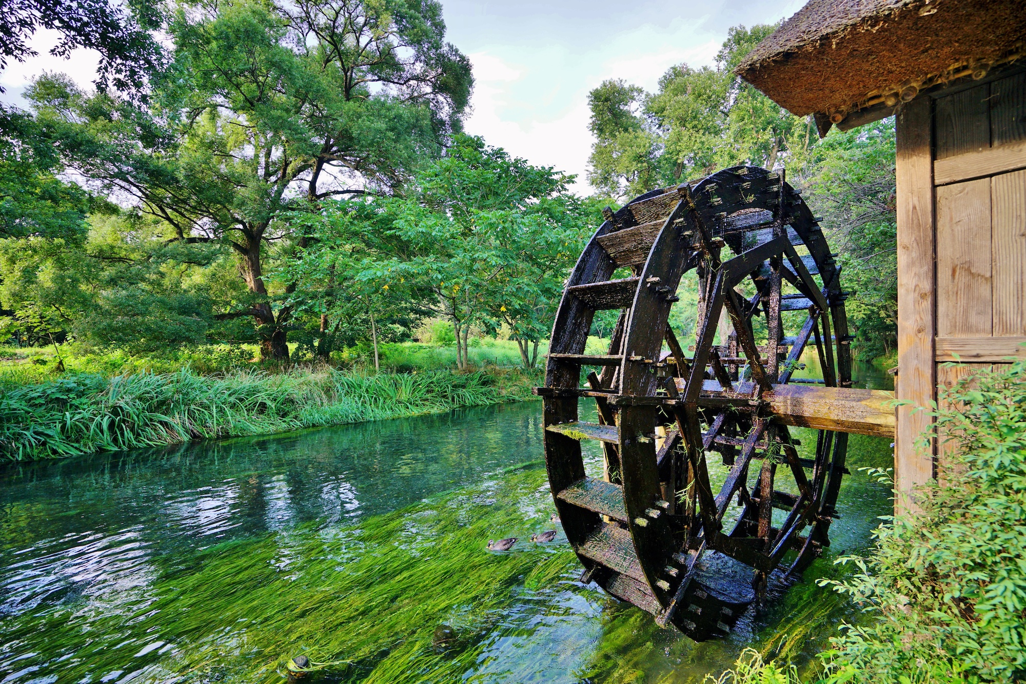 The Wheel: 10 Fascinating Facts Explained - Facts.net