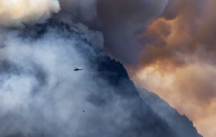 20 Canadian Wildfires Facts: Impact and Management of Wildfires in ...