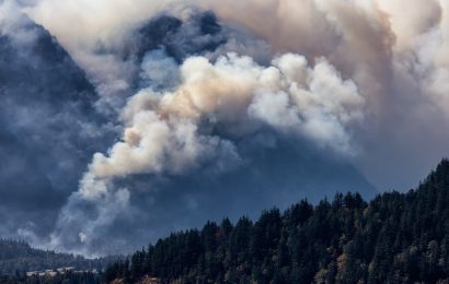 17 Surprising Facts About Wildfires - Facts.net