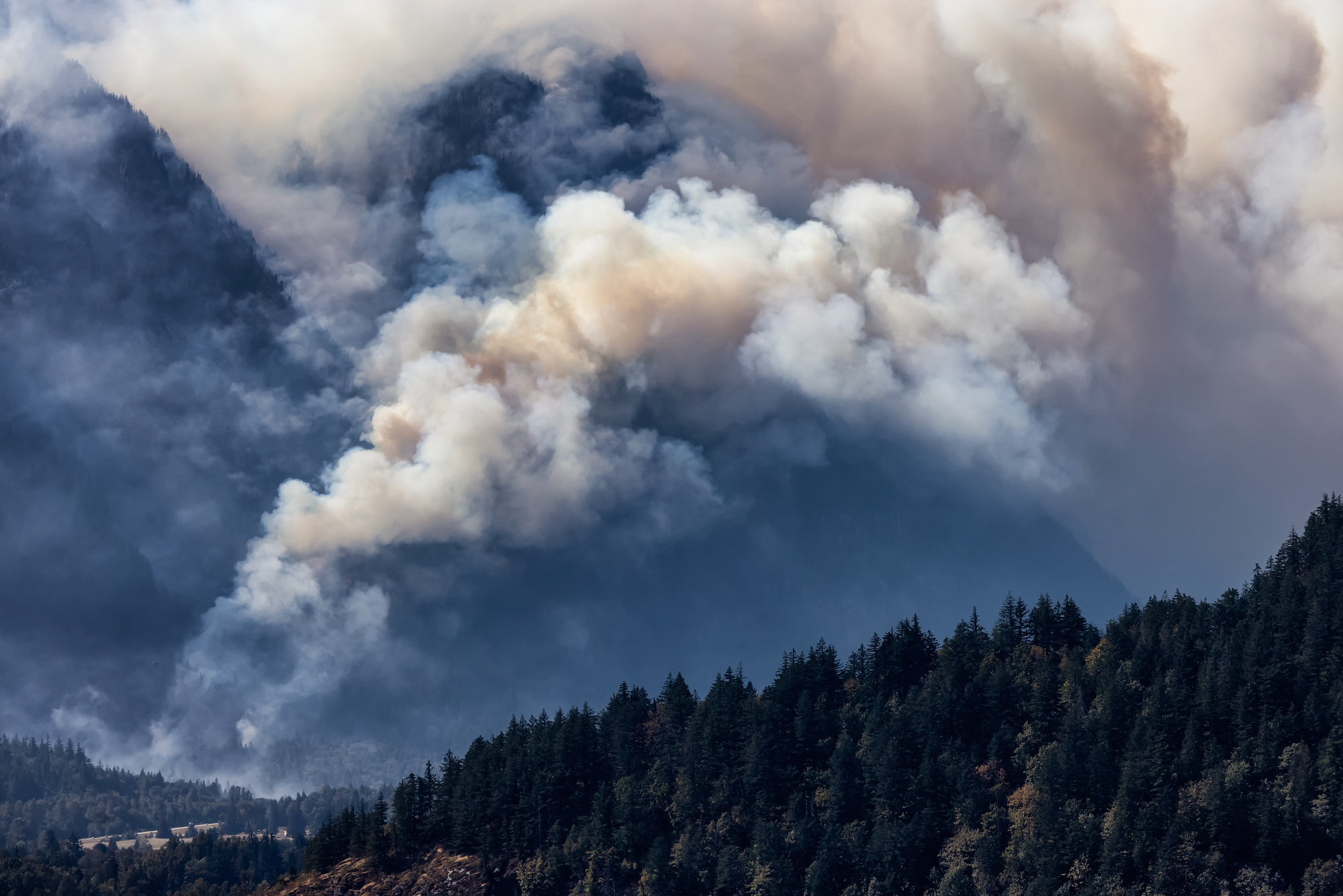 20 Canadian Wildfires Facts: Impact and Management of Wildfires in ...