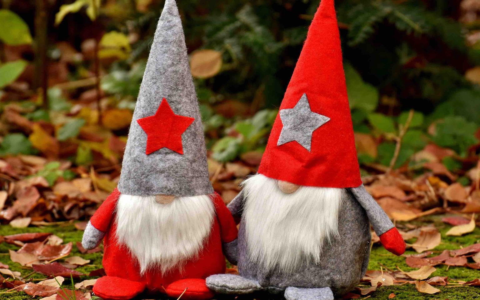 Gnome Facts: 11 Fascinating Insights into these Mythical Garden ...