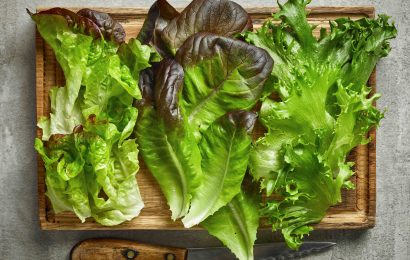 13 Facts About Lettuce - Facts.net