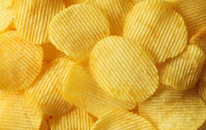 20 Facts About Chips - Facts.net