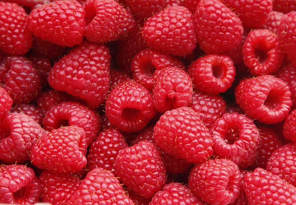 15 Raspberry Facts: The Distant Cousin Of Roses - Facts.net