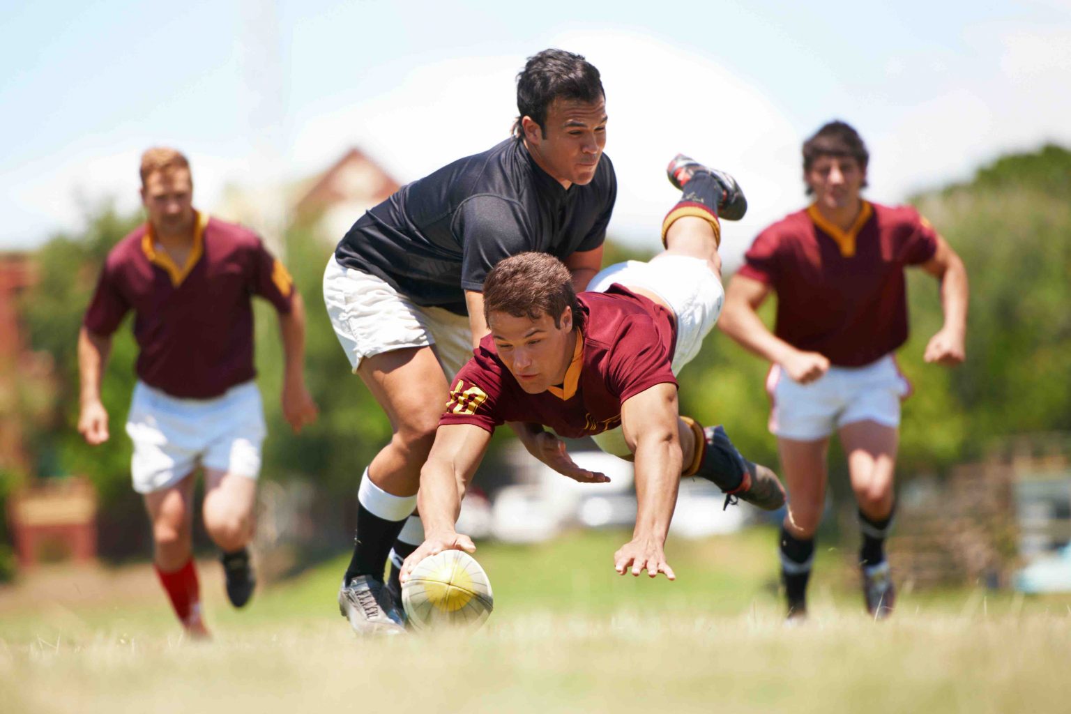20 Rugby Facts: The Secrets of this Intense Sport - Facts.net