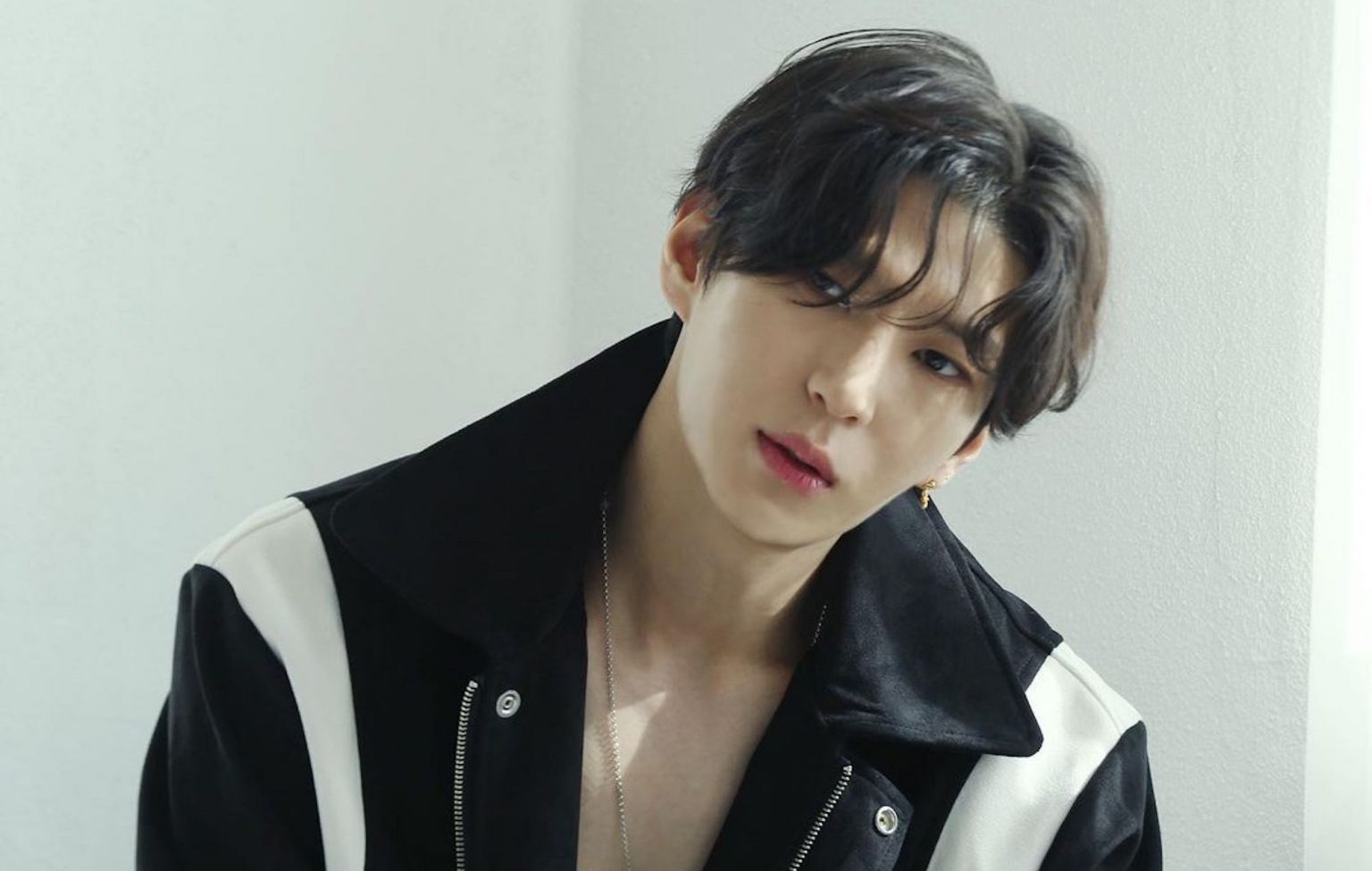 Hear Me Roar! 50 Amazing Leo Facts You Can't Miss - Facts.net