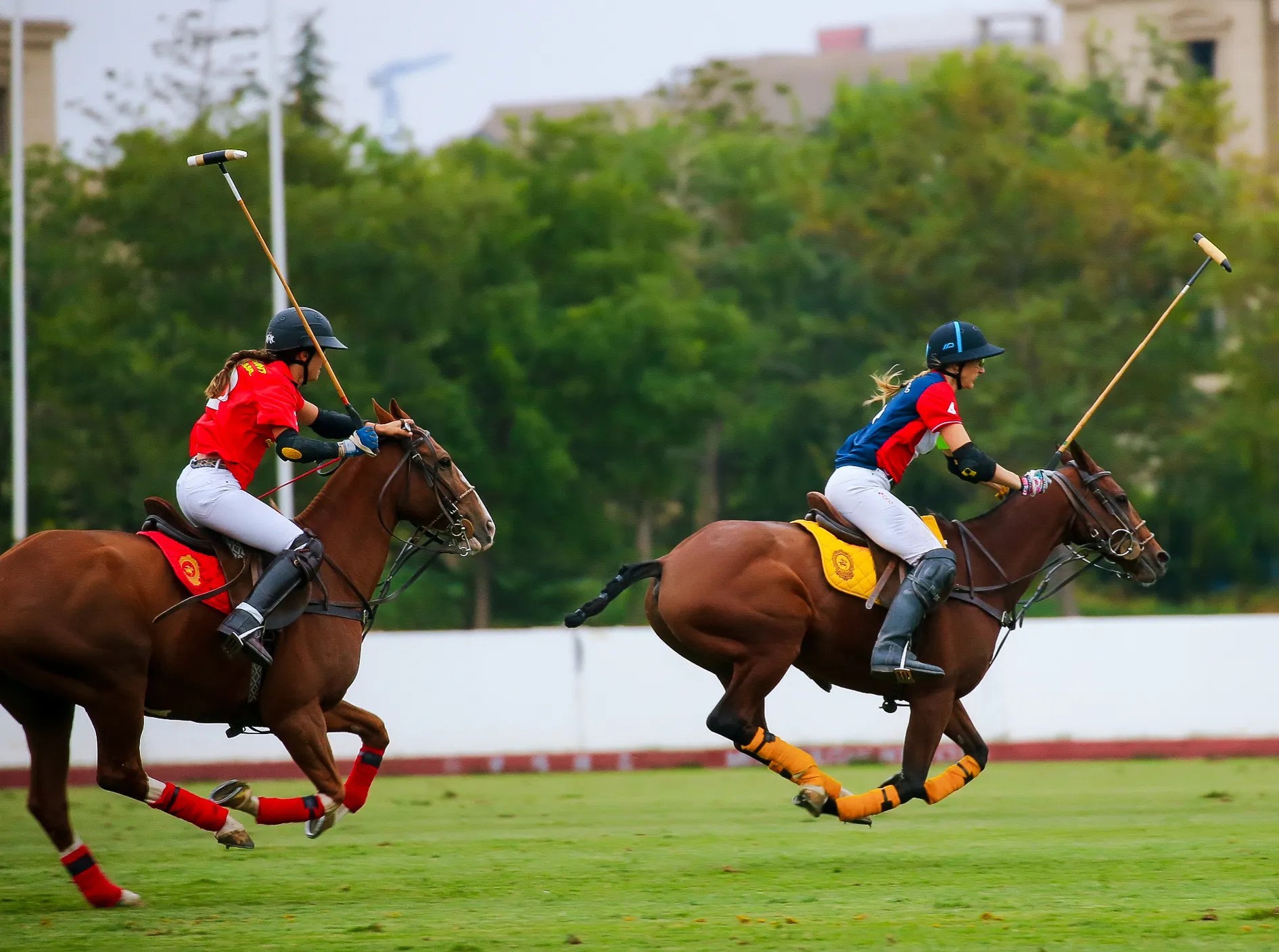 19 Facts About Equestrian Facts 19 Facts About Equestrian Facts