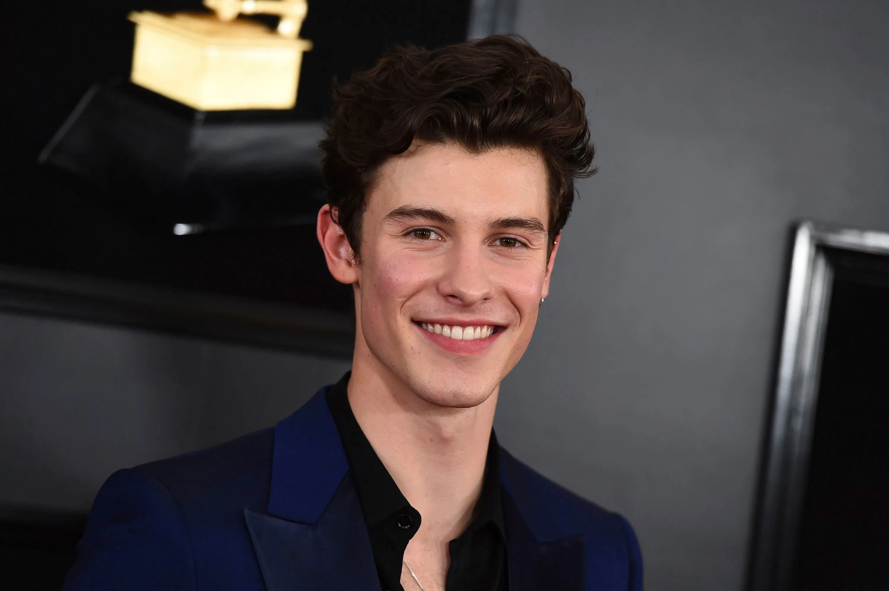 32 Facts About Shawn Mendes Facts 32 Facts About Shawn Mendes Facts