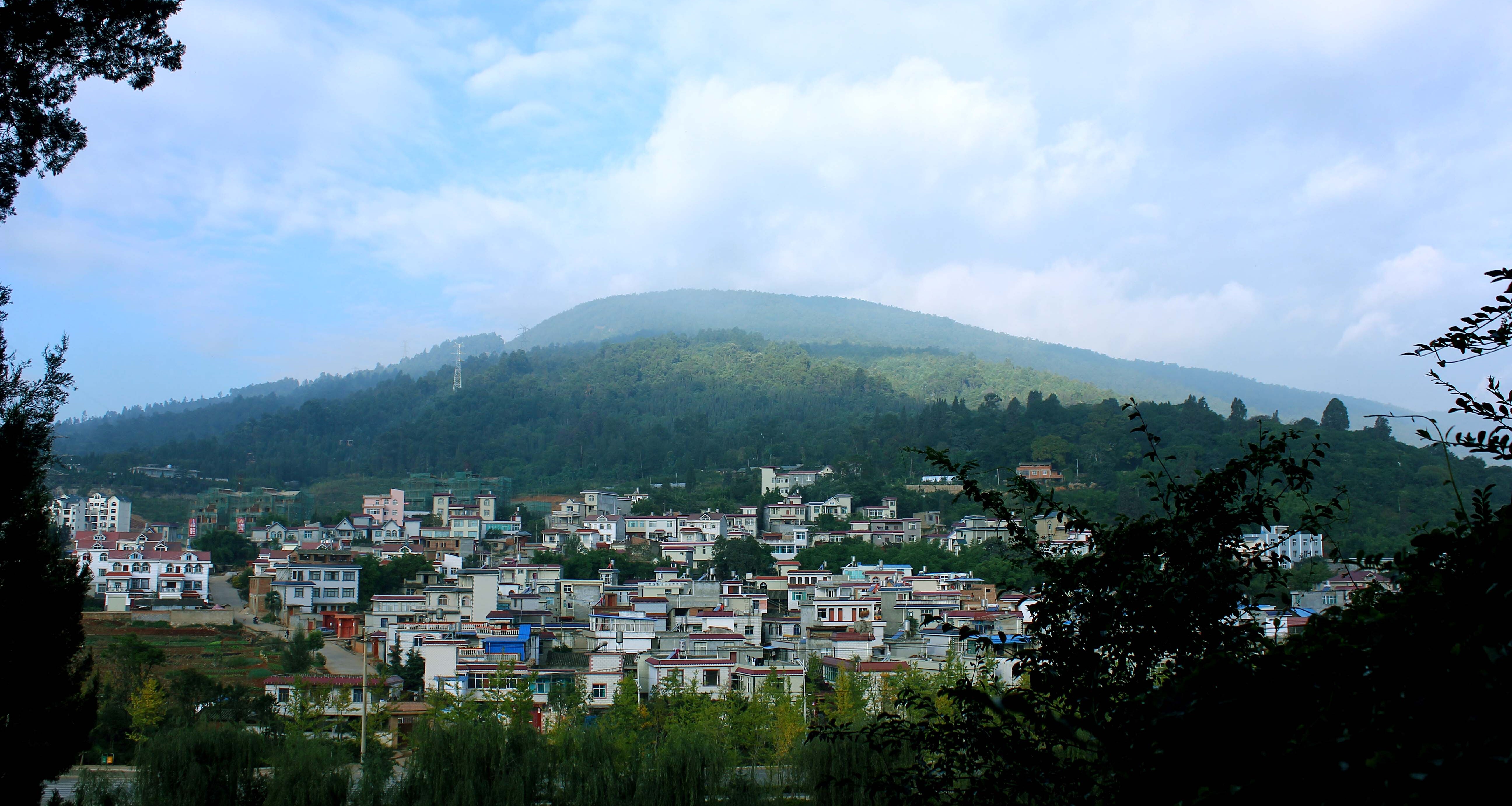 8 Intriguing Facts About Paleontology - Facts.net