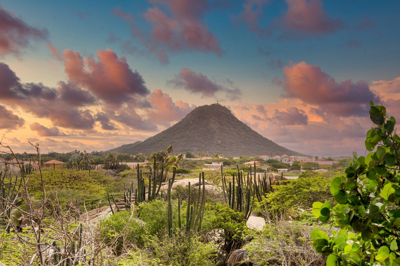 Aruba Fun Facts: 11 Fascinating Insights about the Caribbean Gem ...