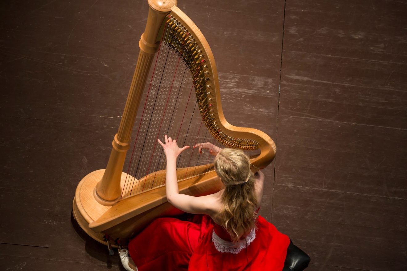 10 Harp Facts: Exploring the Enchanting World of Harps - Facts.net