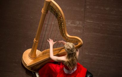 10 Harp Seal Facts for Kids - Facts.net