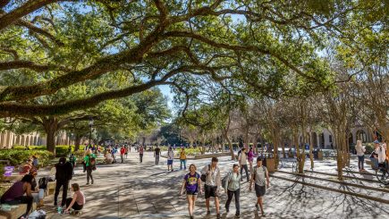 20 LSU Facts - Facts.net