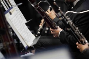 19 Bassoon Facts - Facts.net