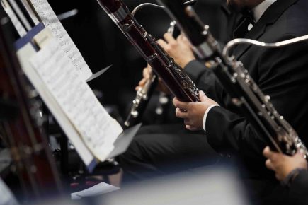 19 Bassoon Facts - Facts.net