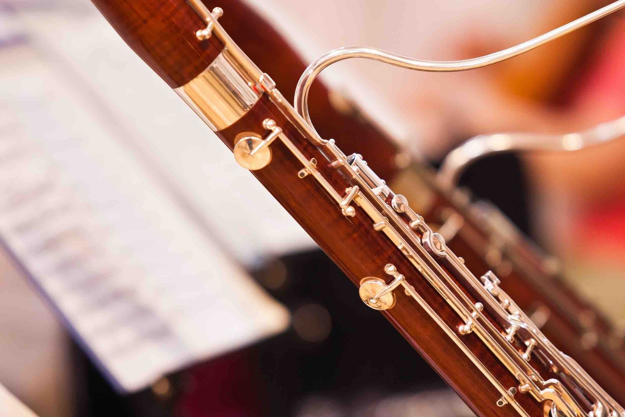 19 Bassoon Facts - Facts.net