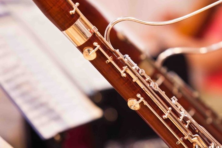 19 Bassoon Facts - Facts.net