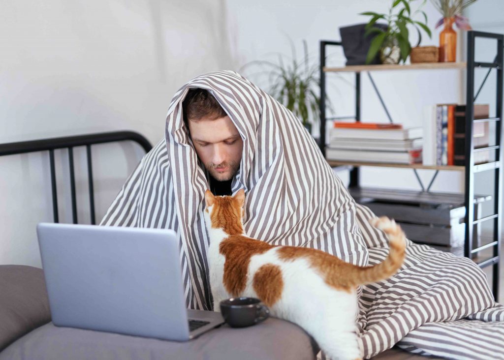 19 Male Cat Facts: Intriguing Insights into Male Feline Behavior ...