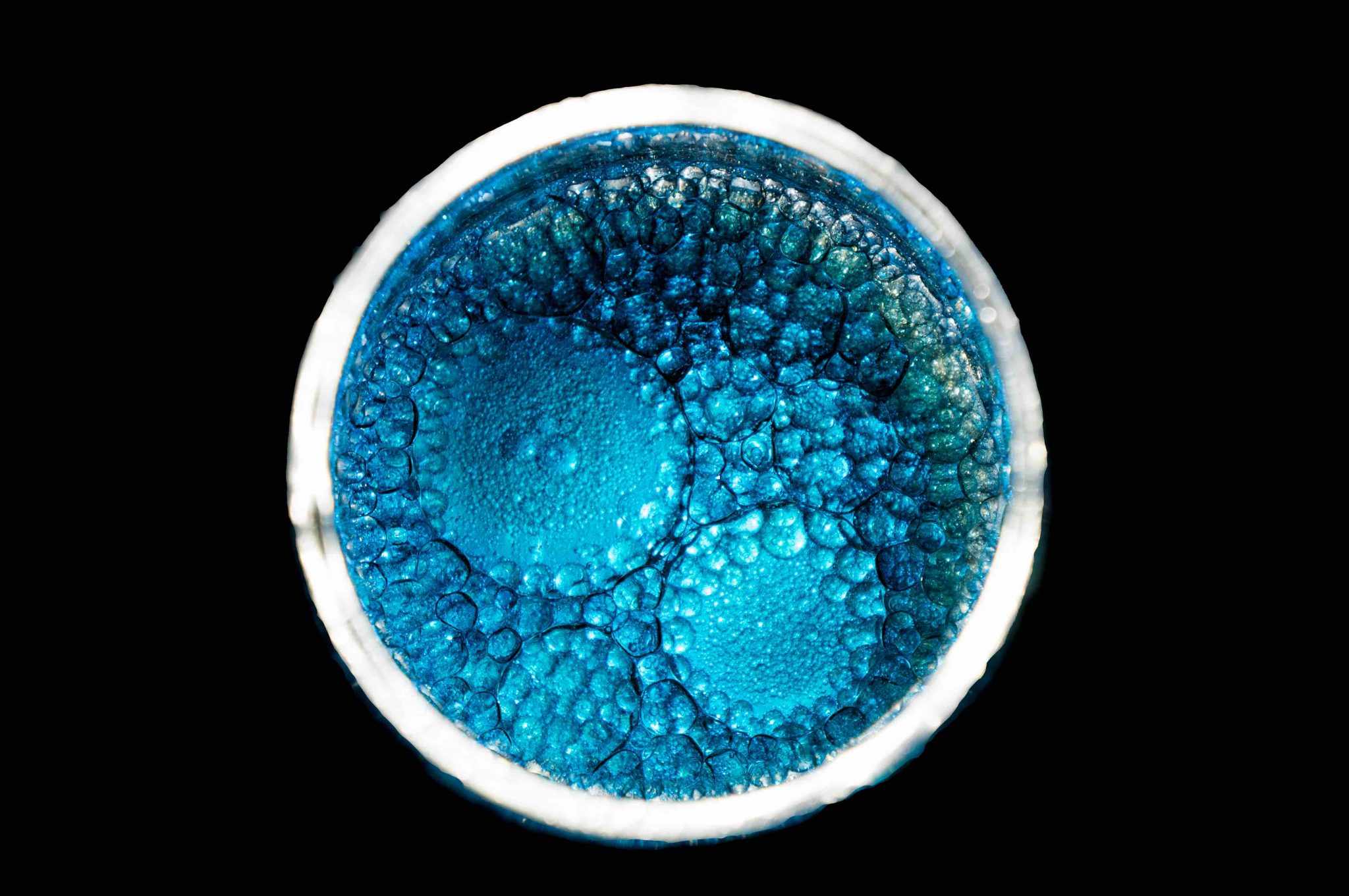 19 Cell Membrane Facts: The Wonders of Cellular Boundaries- Facts.net