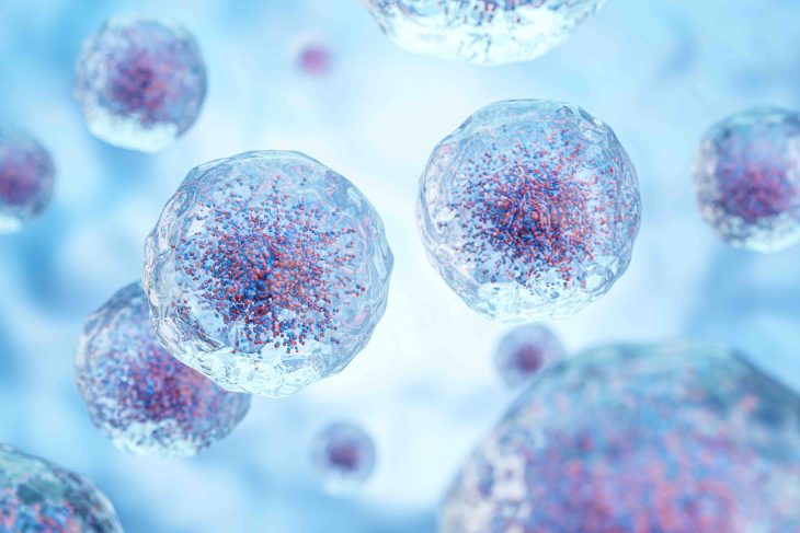 19 Cell Membrane Facts: The Wonders of Cellular Boundaries- Facts.net