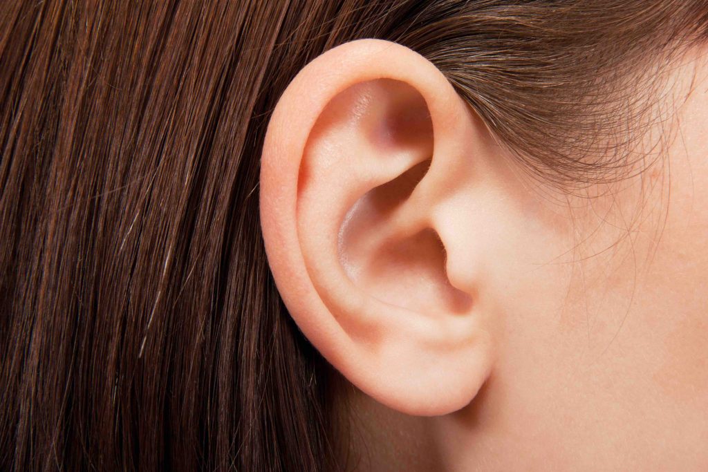 10 Interesting Ear Facts - Facts.net