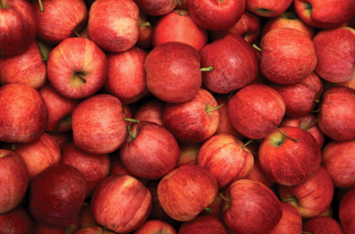 15 Gala Apple Nutrition Facts - Facts.net
