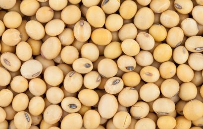 20 Fun Facts About Soybeans - Facts.net