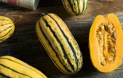 18 Facts About Squash - Facts.net