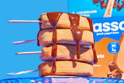 14 Yasso Bar Nutrition Facts: An In-Depth Look - Facts.net