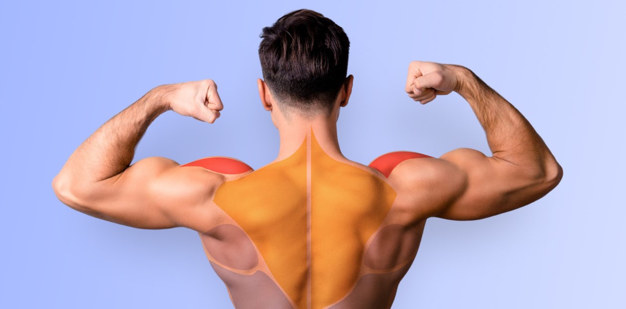 10 Enigmatic Facts About Shoulder Facts