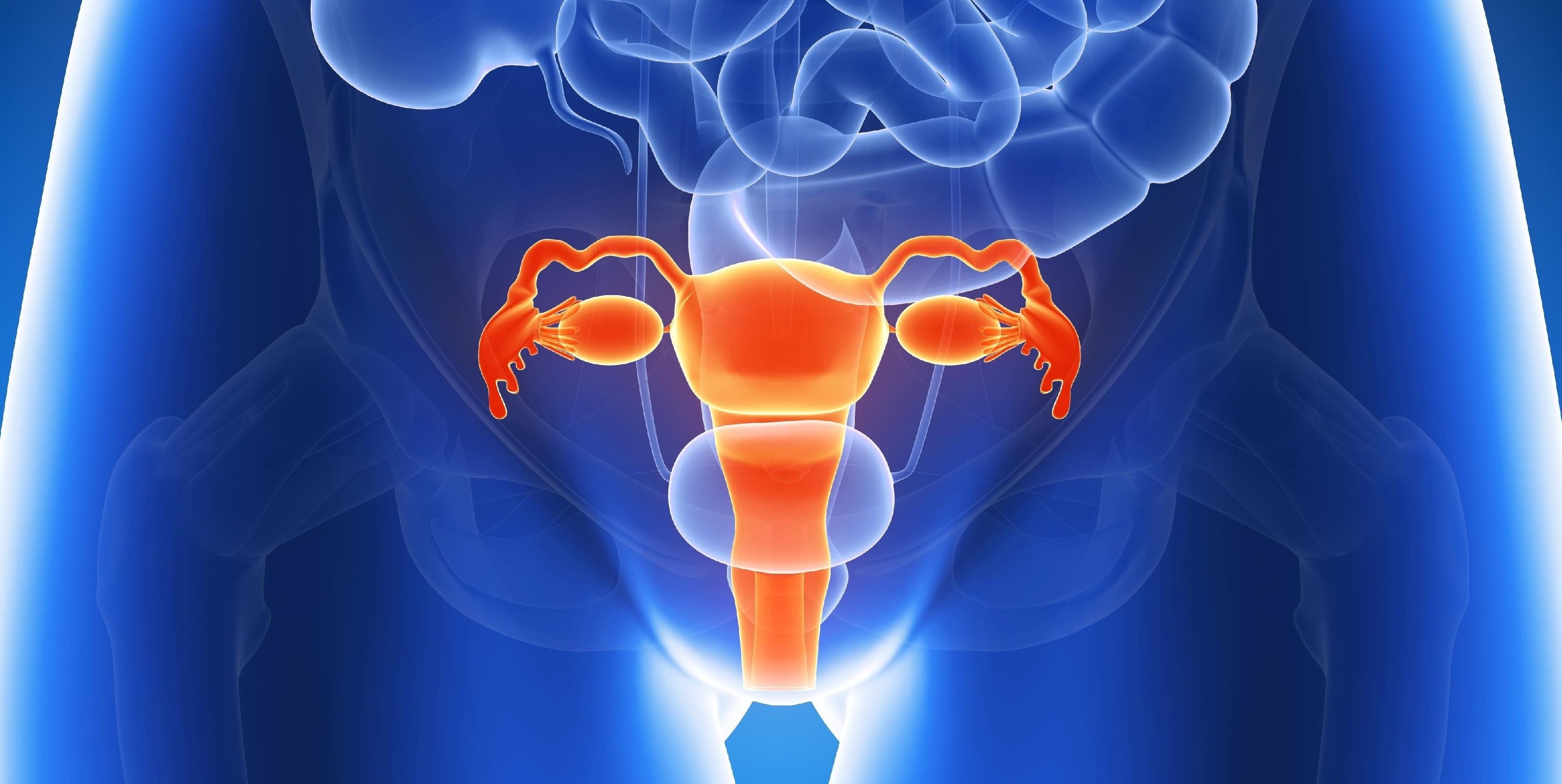 20 Mind blowing Facts About Uterus Womb Facts