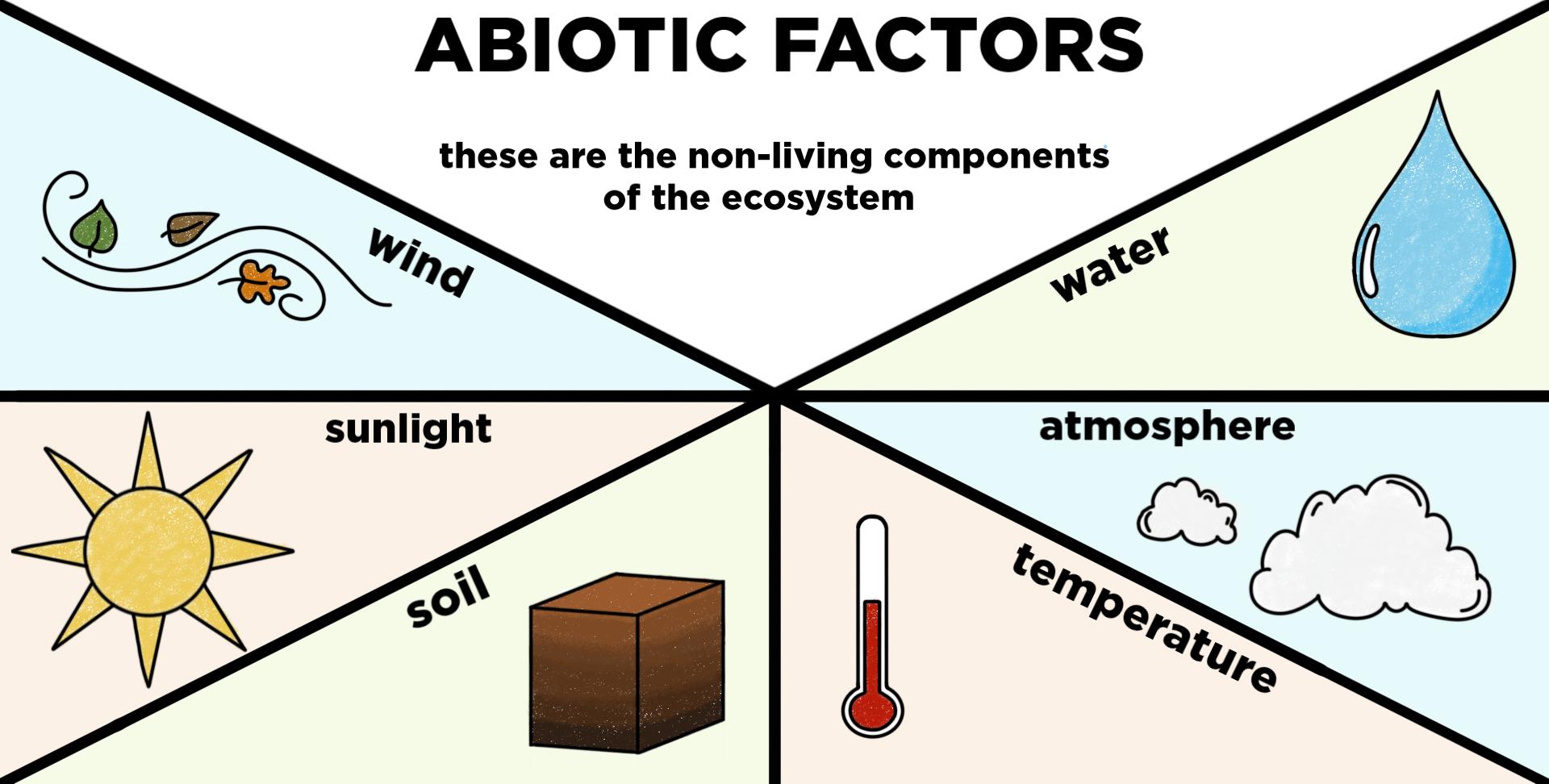 11 Mind Blowing Facts About Abiotic Factors Facts