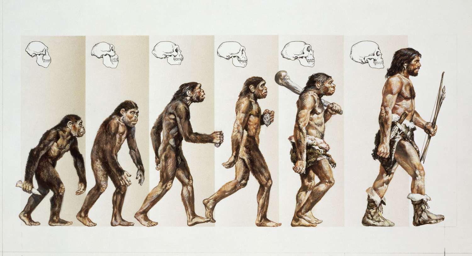 12 Surprising Facts About Evolutionary Biology Techniques Facts