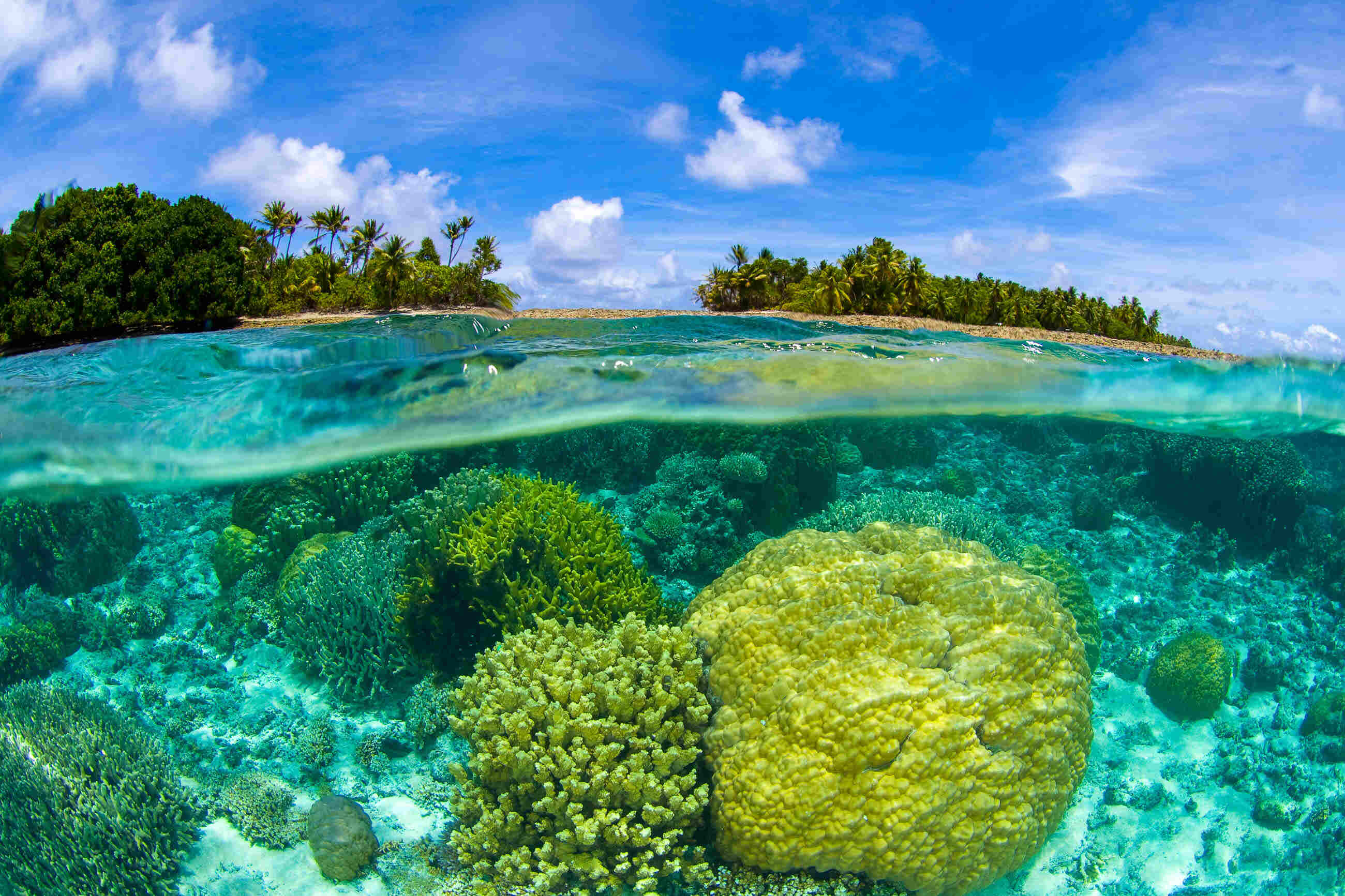 14 Surprising Facts About Marshall Islands Reefs Facts 14 Surprising Facts About Marshall Islands Reefs Facts