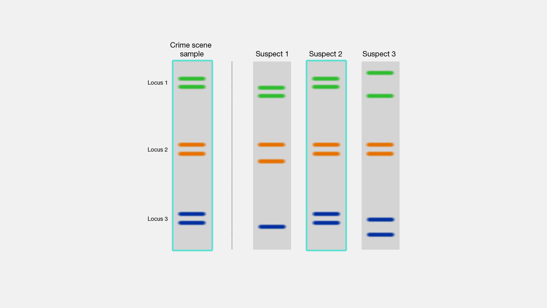 16 Unbelievable Facts About DNA Profiling Facts