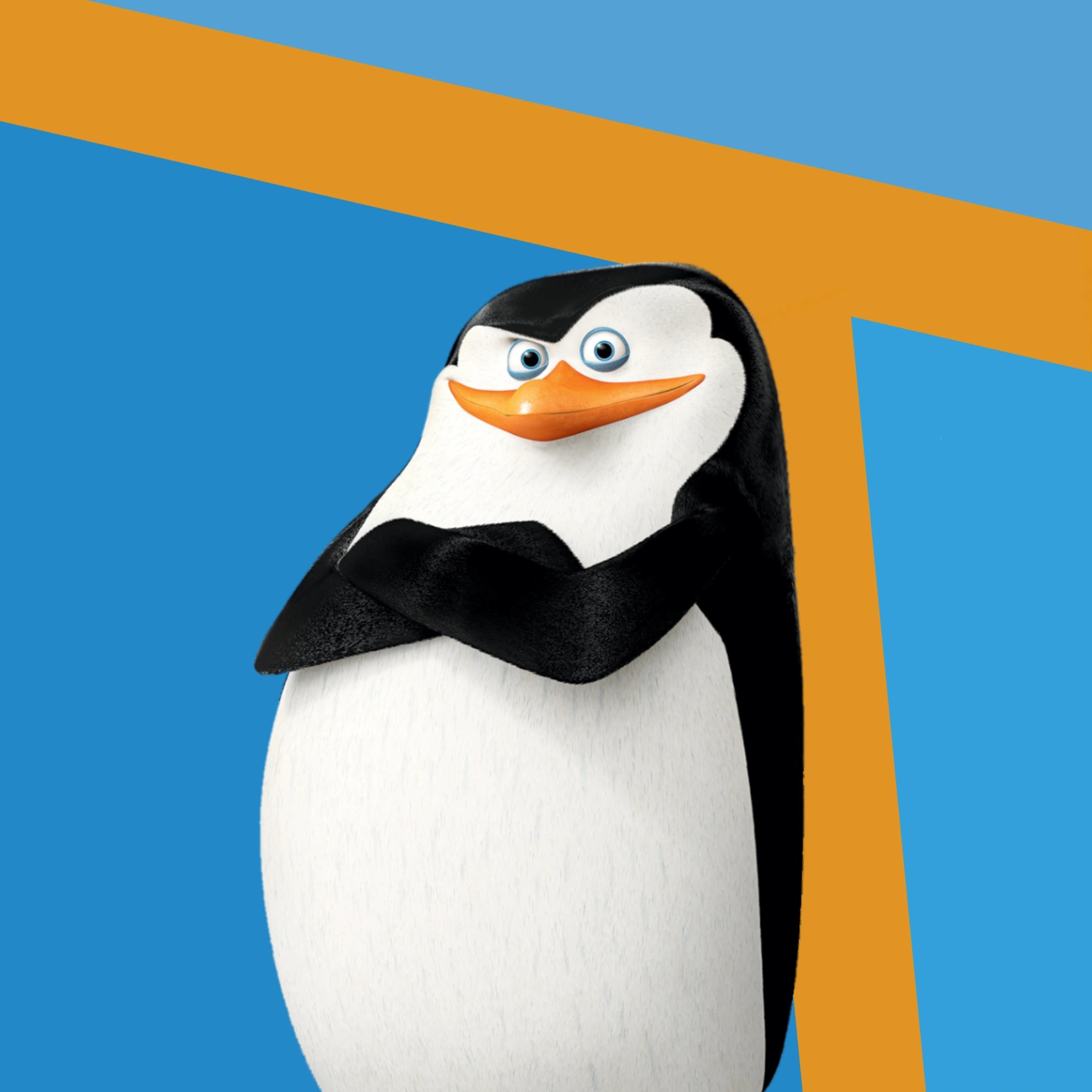 20 Facts About Skipper The Penguins Of Madagascar Facts