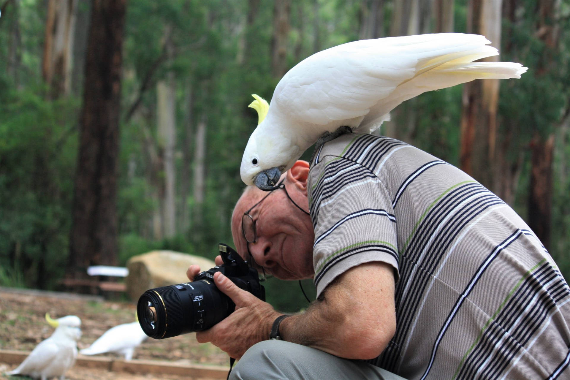 14 Astounding Facts About Wildlife Photography Facts