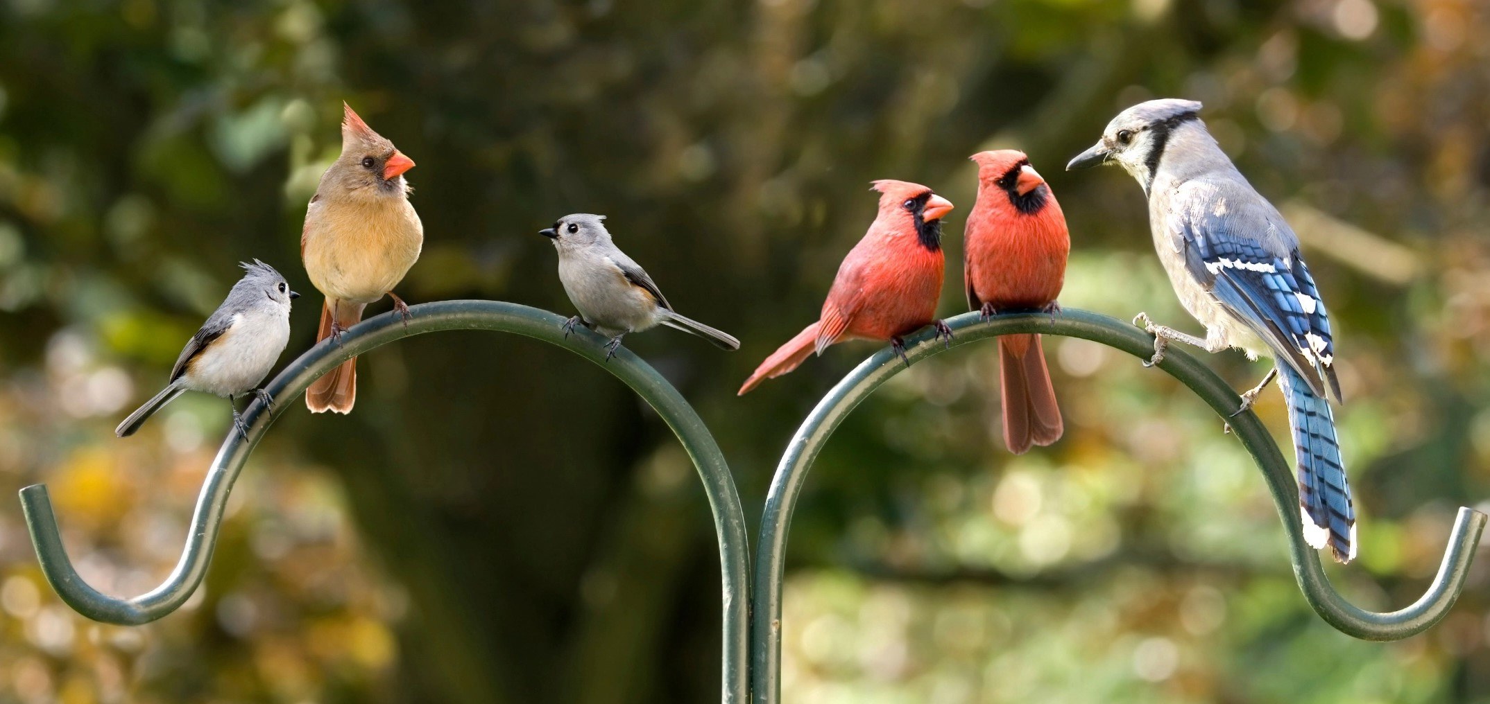 15 Intriguing Facts About Wildlife Conservation Facts 15 Intriguing Facts About Wildlife Conservation Facts
