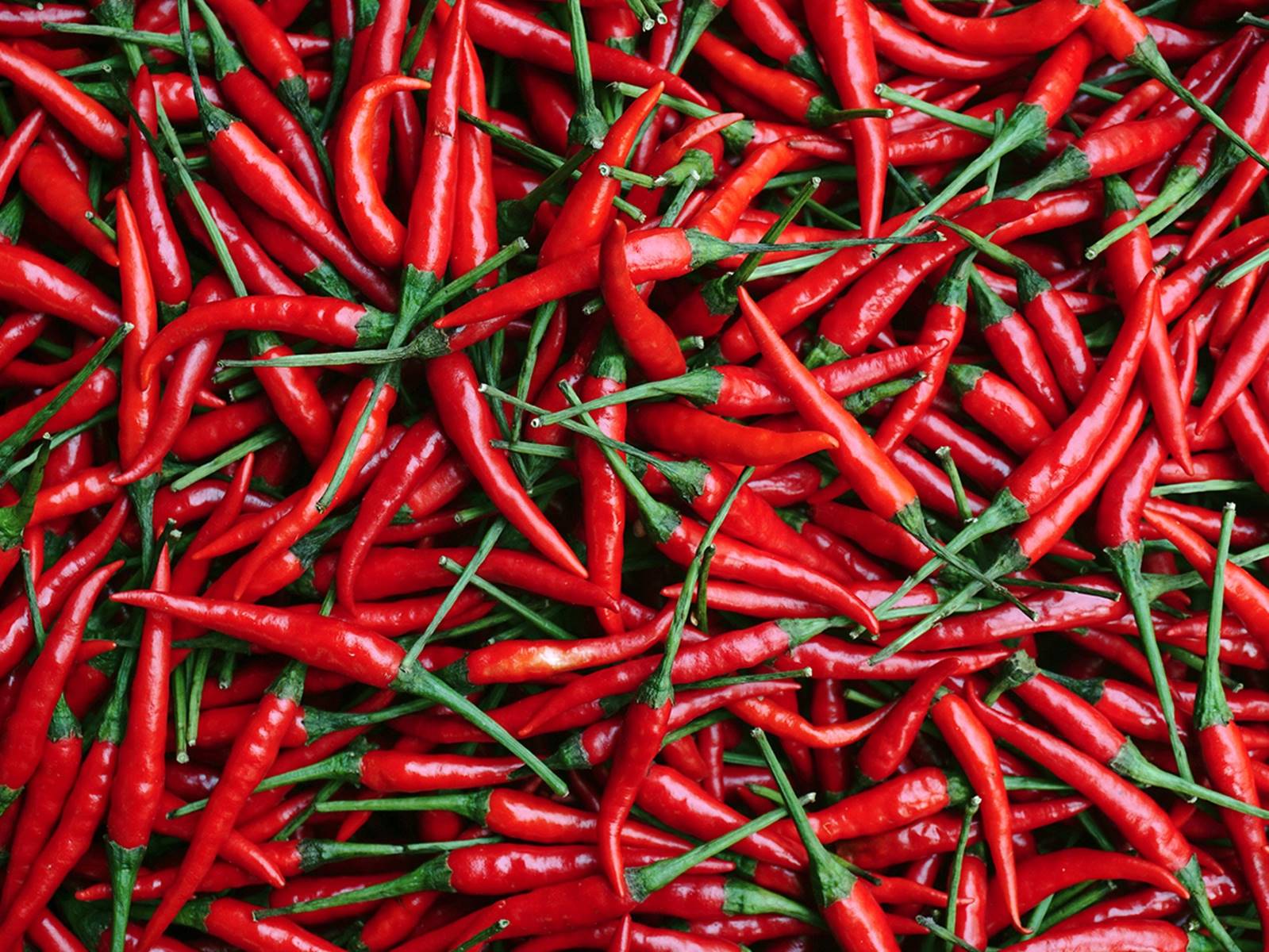 11 Interesting Facts About Chillies Facts 11 Interesting Facts About Chillies Facts