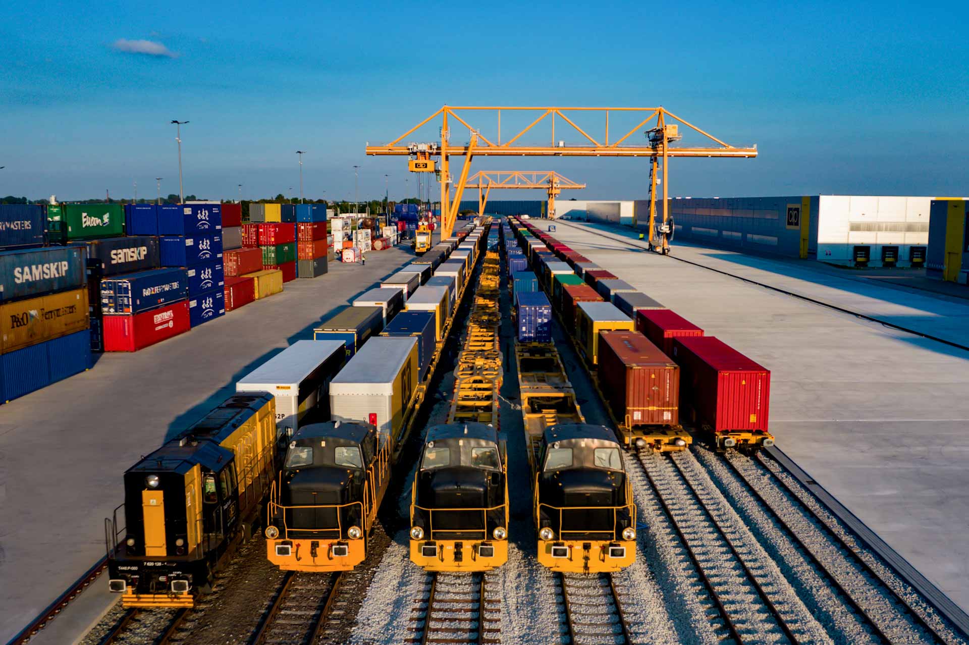 18 Intriguing Facts About Reed Timmer - Facts.net