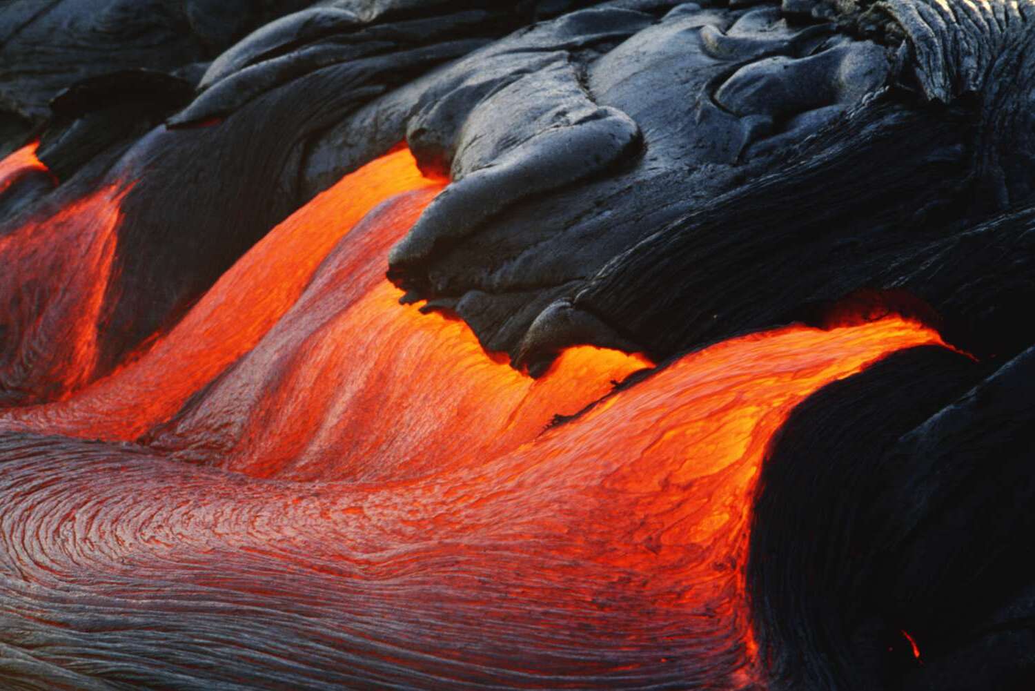 20 Lava Lamp Facts - Facts.net