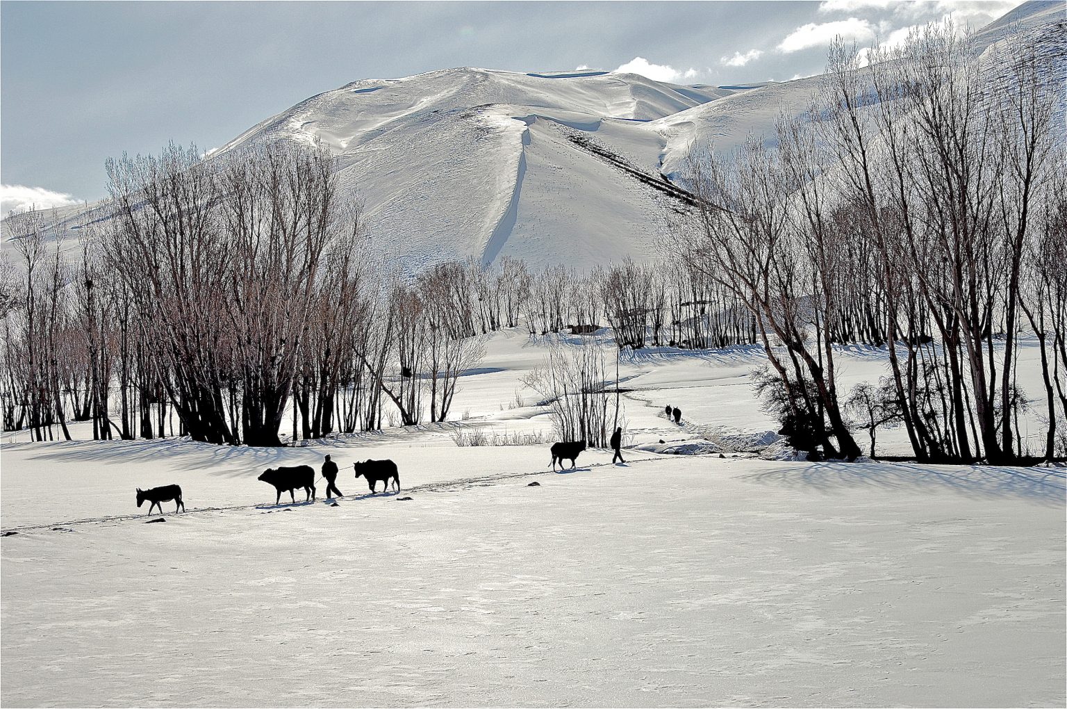 15 Coldest Cities in the World - Facts.net